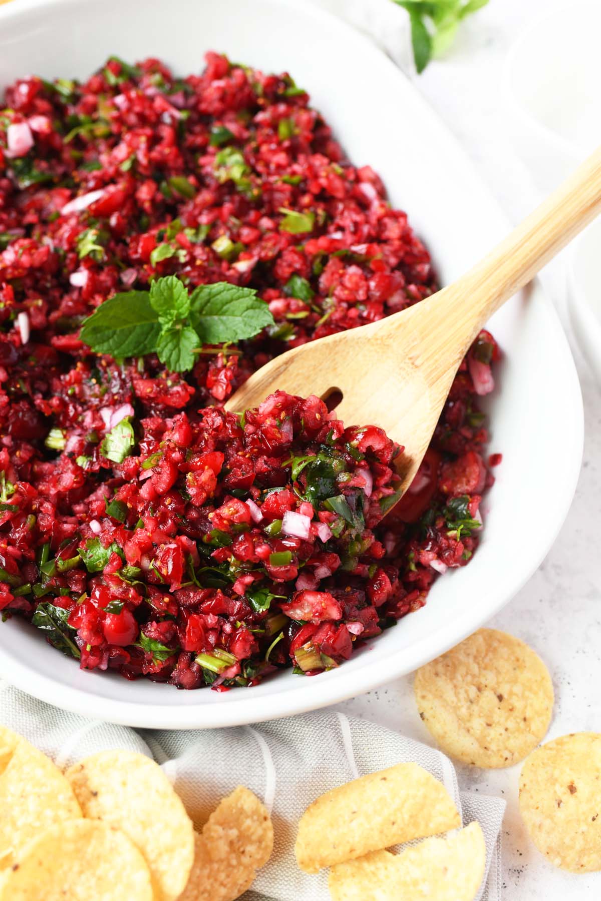 Cranberry Salsa Recipe - Sizzling Eats