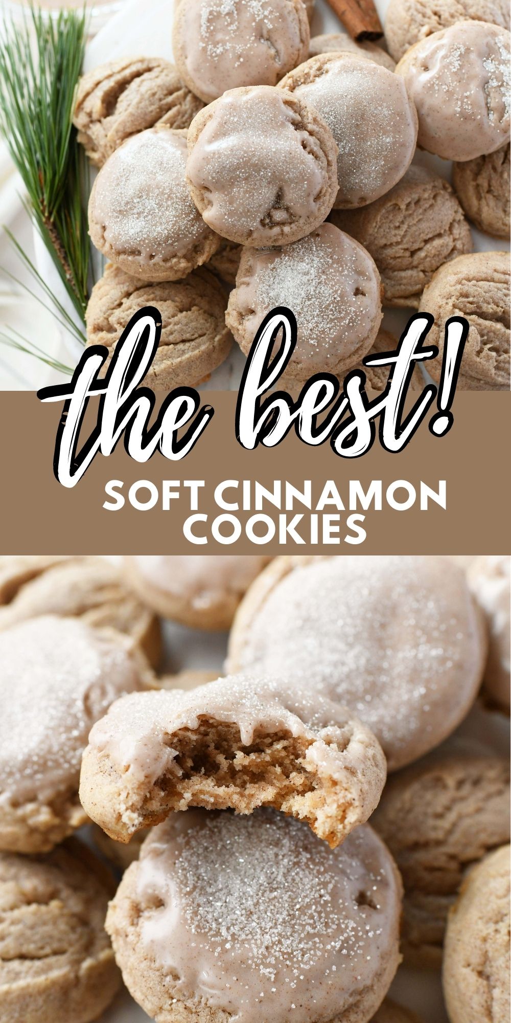 Soft and Chewy Cinnamon Cookies - Sizzling Eats